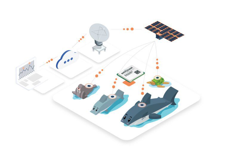 Wildlife Computers and Astrocast